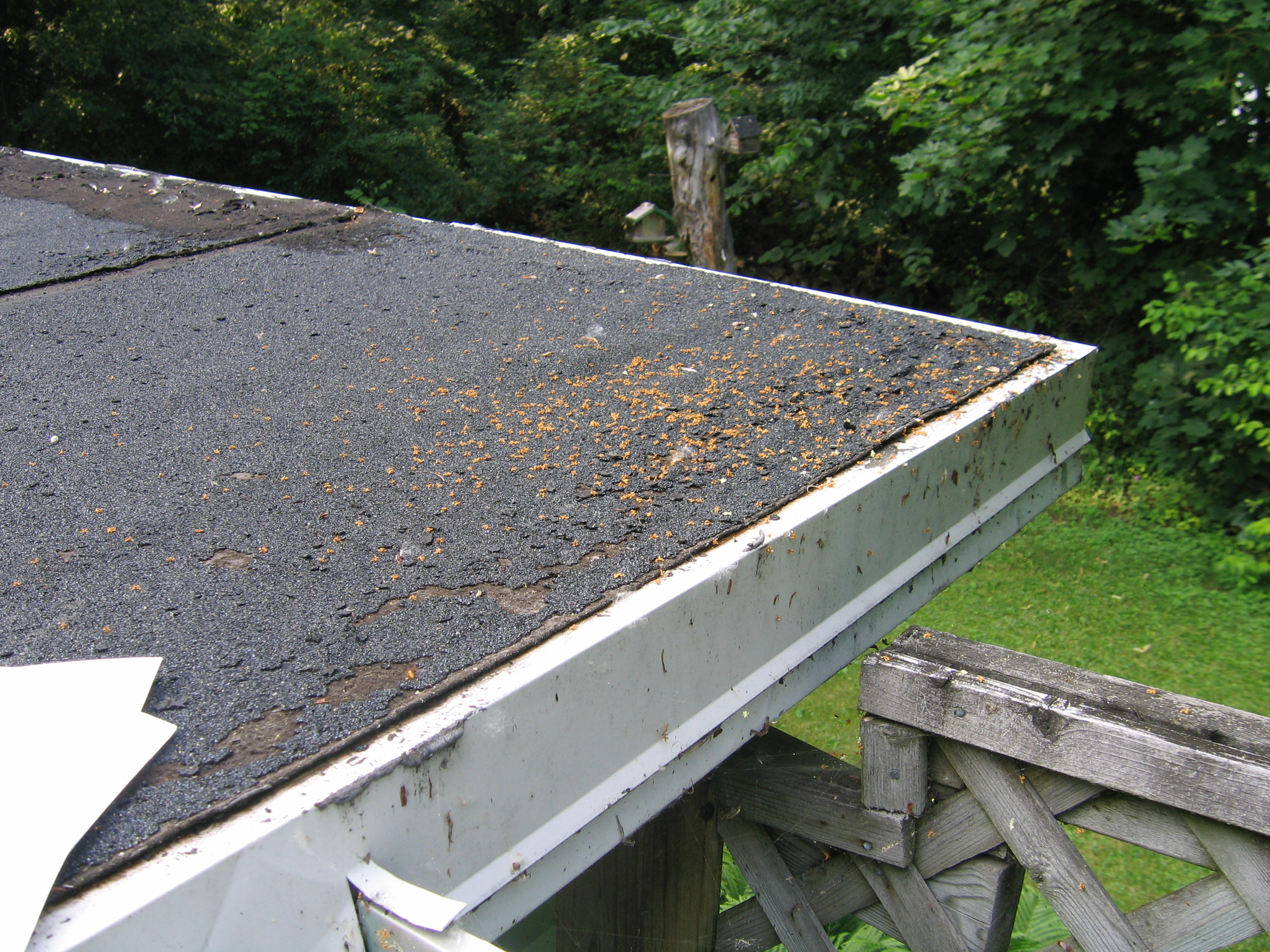 Converting a Tar-and-Gravel roof to metal or membrane | Consulting PG